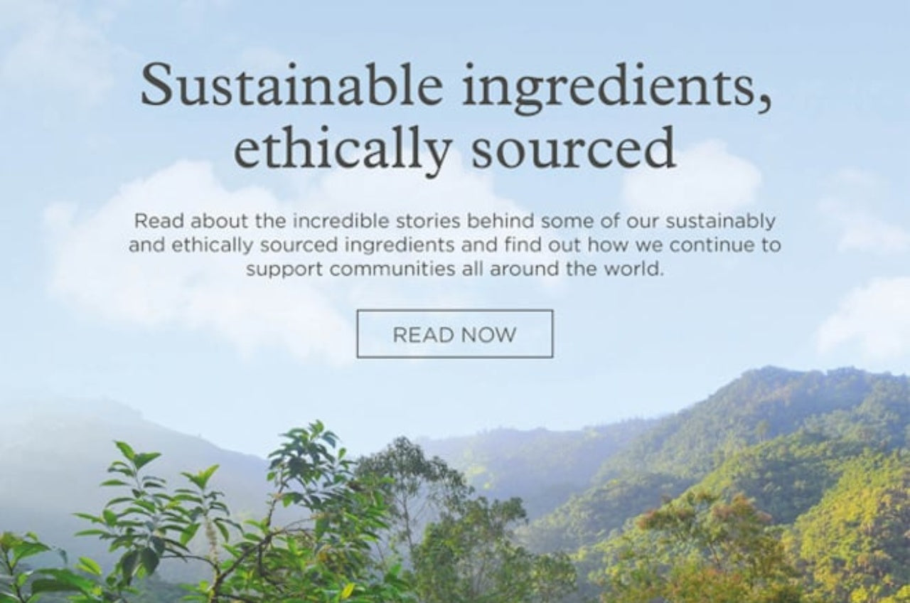 About Our Ingredients: Sustainable Ingredients Ethically Sourced – Neal ...
